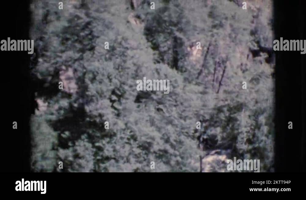 1964: a beautiful rugged mountain ridge as seen pine trees COTTONWOOD ...