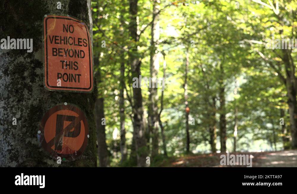 Do not go beyond this point Stock Videos & Footage - HD and 4K Video ...