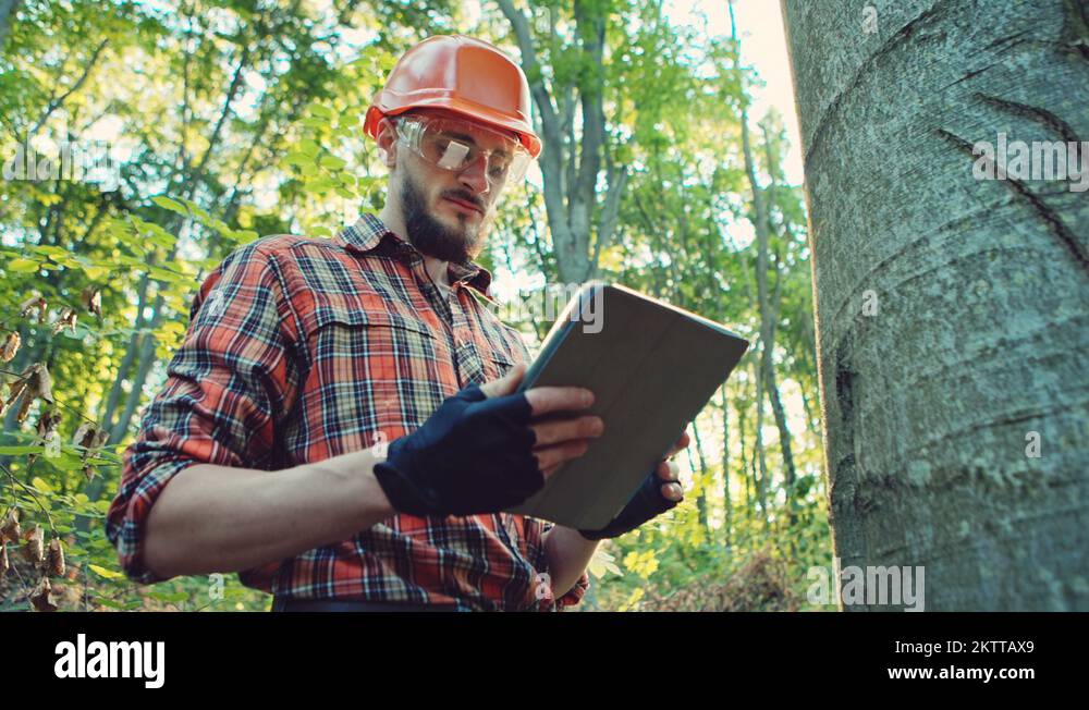 Checking trees Stock Videos & Footage - HD and 4K Video Clips - Alamy