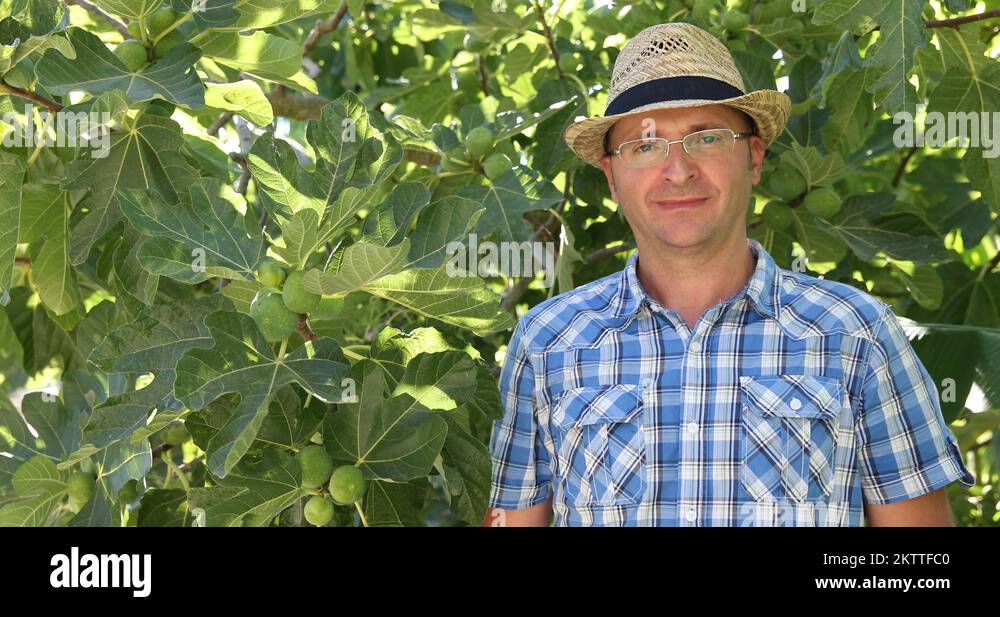 Positive character Stock Videos & Footage - HD and 4K Video Clips - Alamy