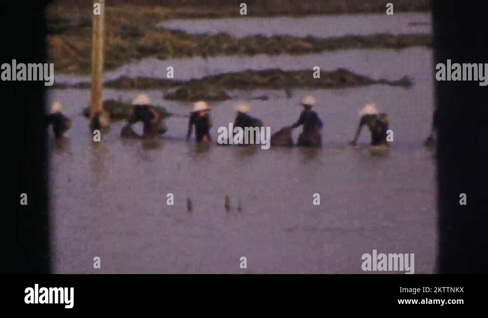 1962: indigenous asian people performing labor in a body of water ...