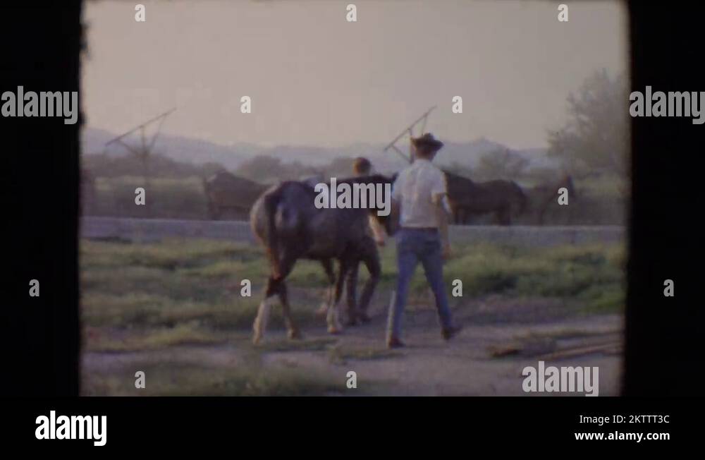 1967: cowboy rancher walking horse in open farm fields TUCSON, ARIZONA ...