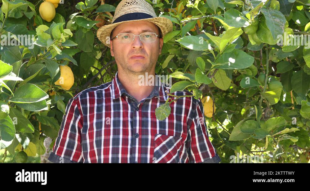 Serious European Peasant Man Looking Camera in Contryland Lemon ...