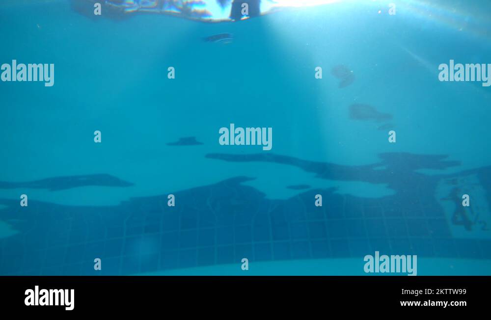 A boy doing a cannonball and jumping into a pool at a hotel resort ...