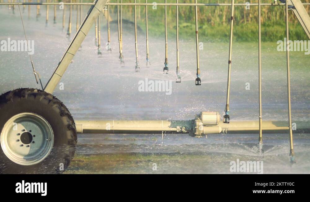 Automated farm Irrigation system with drop sprinklers in field, slow ...