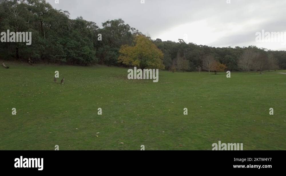 Horizontal area Stock Videos & Footage - HD and 4K Video Clips - Alamy