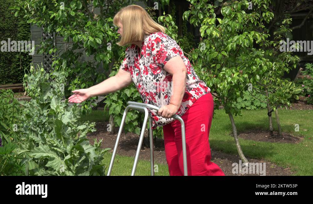 Woman with zimmer frame Stock Videos & Footage - HD and 4K Video Clips ...