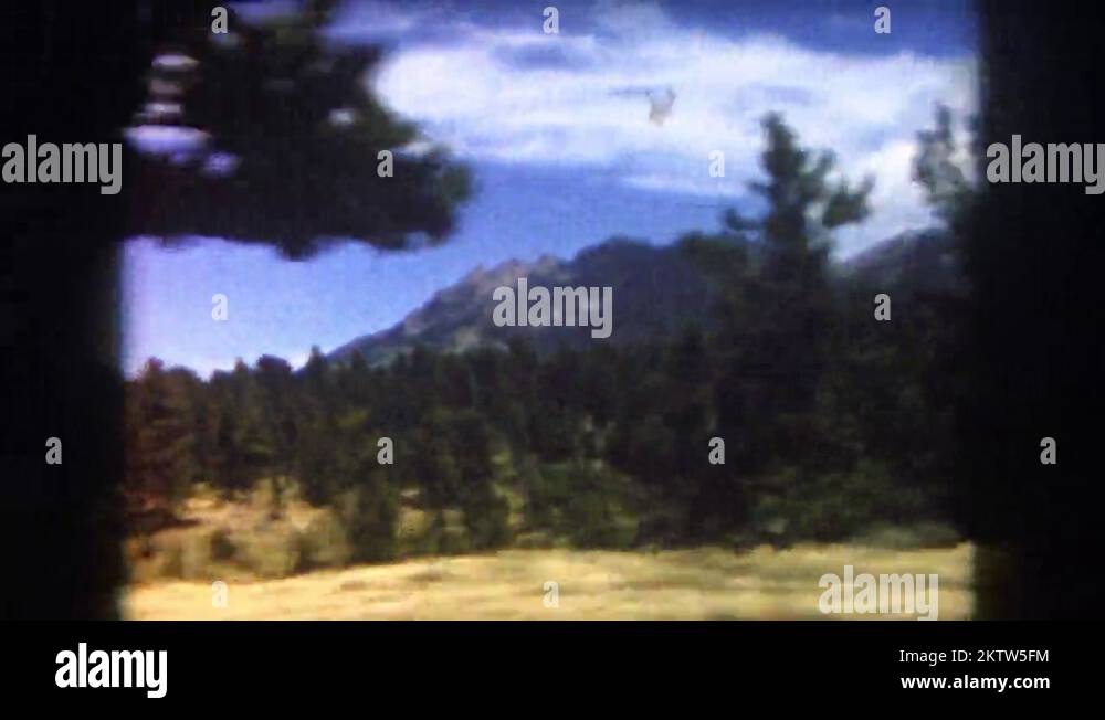 Place of many trees Stock Videos & Footage - HD and 4K Video Clips - Alamy