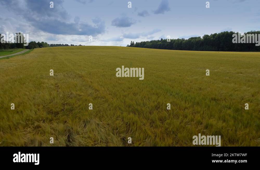 Grain fields in an aeial shot in Ireland Stock Video Footage - Alamy