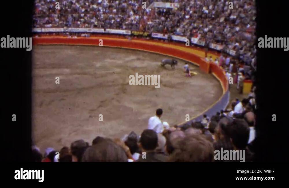 1962: a bull charging and attacking a bull fighter in a stadium MEXICO ...