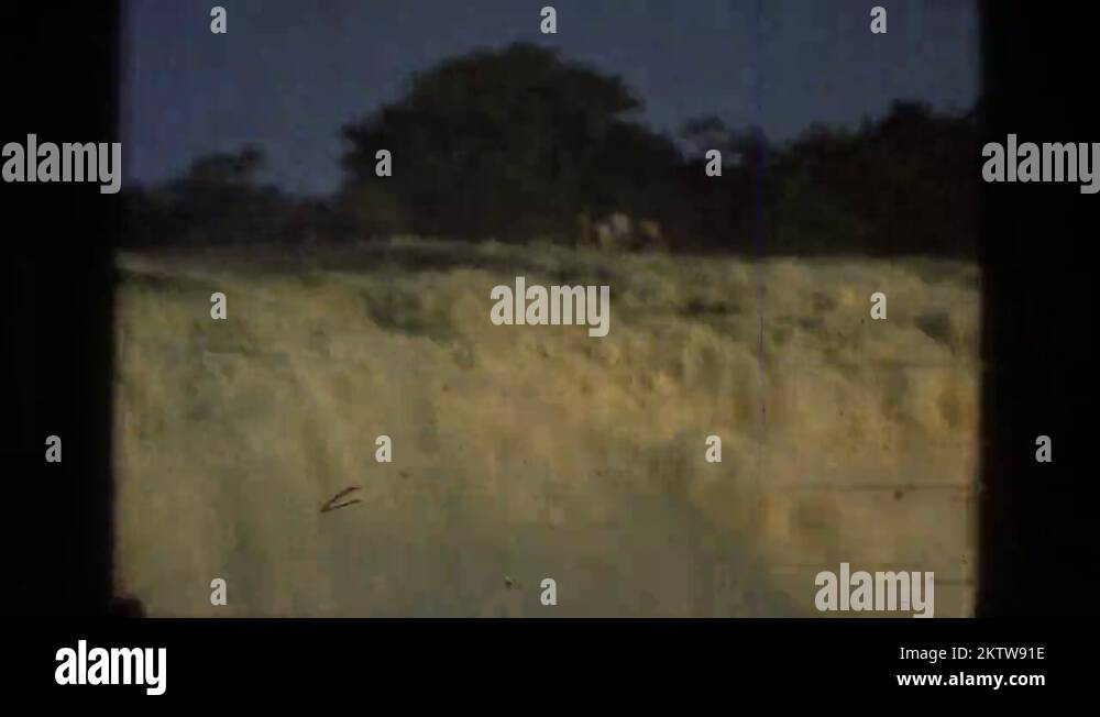 Cascading waterfall and trees Stock Videos & Footage - HD and 4K Video ...