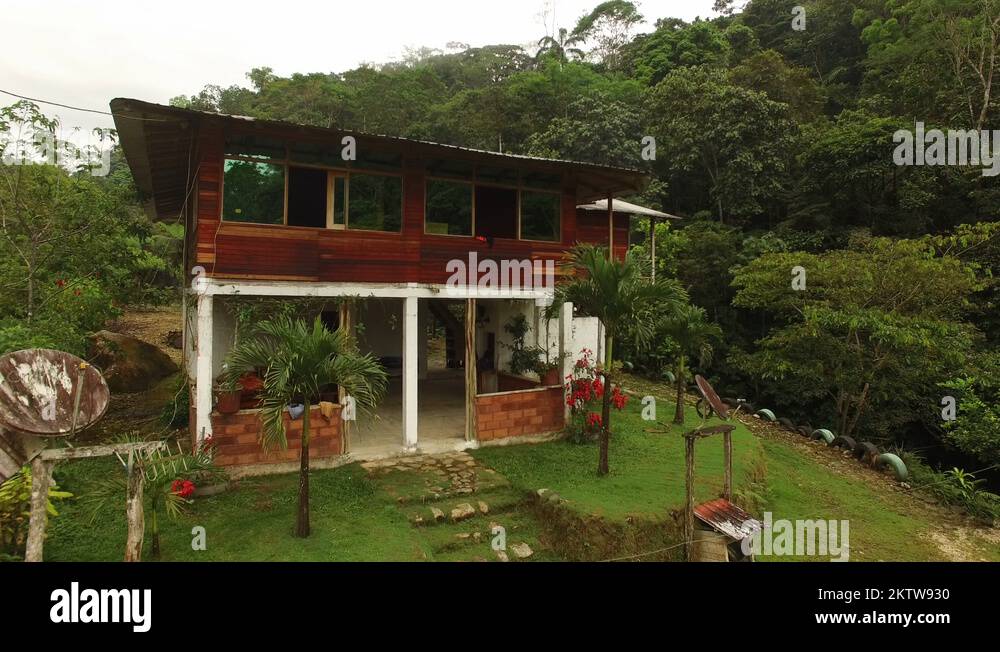 Jungle residence Stock Videos & Footage - HD and 4K Video Clips - Alamy