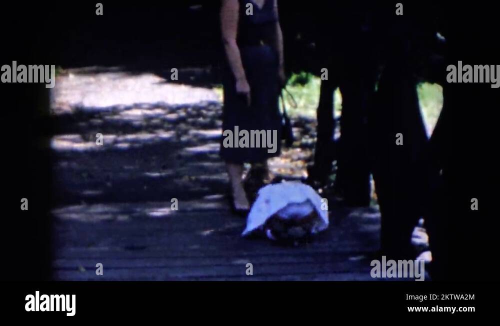 Women playing bridge Stock Videos & Footage - HD and 4K Video Clips - Alamy