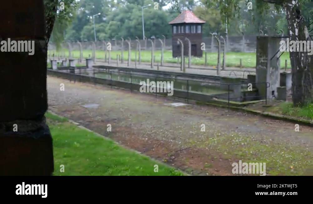 Barbed wire fence auschwitz concentration Stock Videos & Footage - HD ...