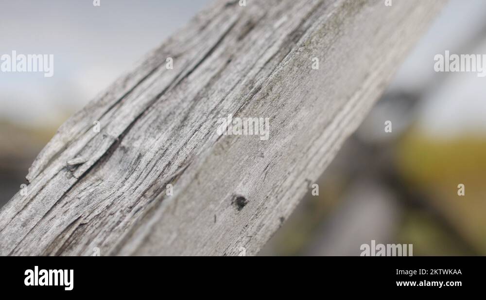 Civil War Time Split Rail Fence with Grass Field Rack Focus, 4K Stock ...