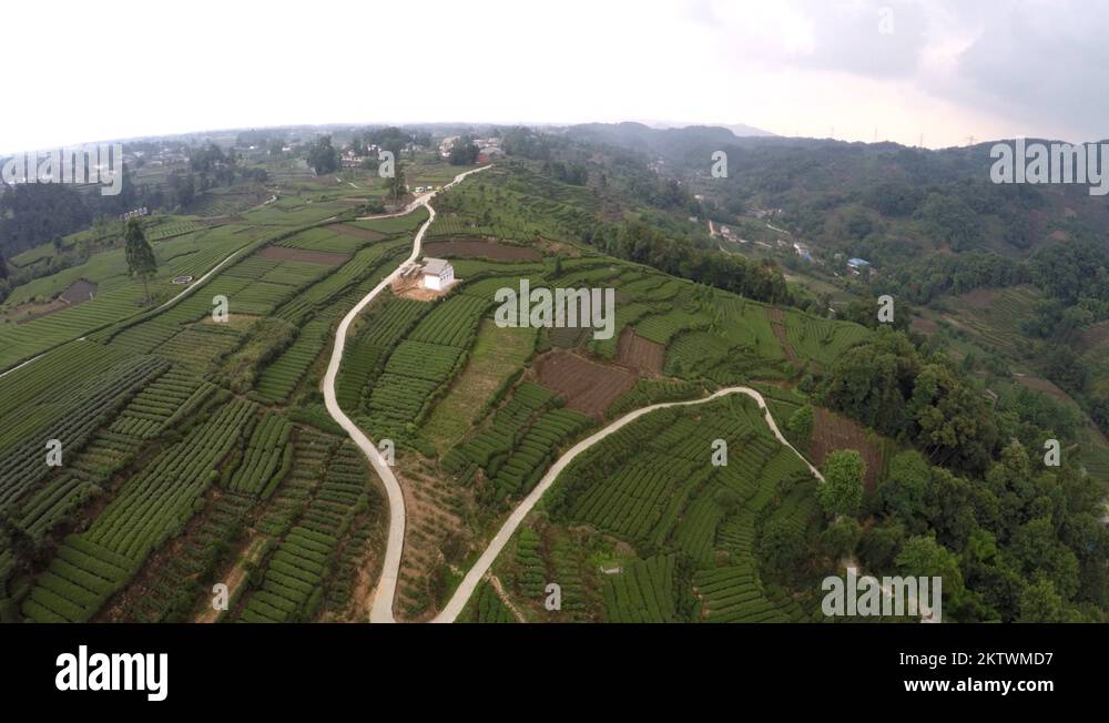 China terrace Stock Videos & Footage - HD and 4K Video Clips - Alamy