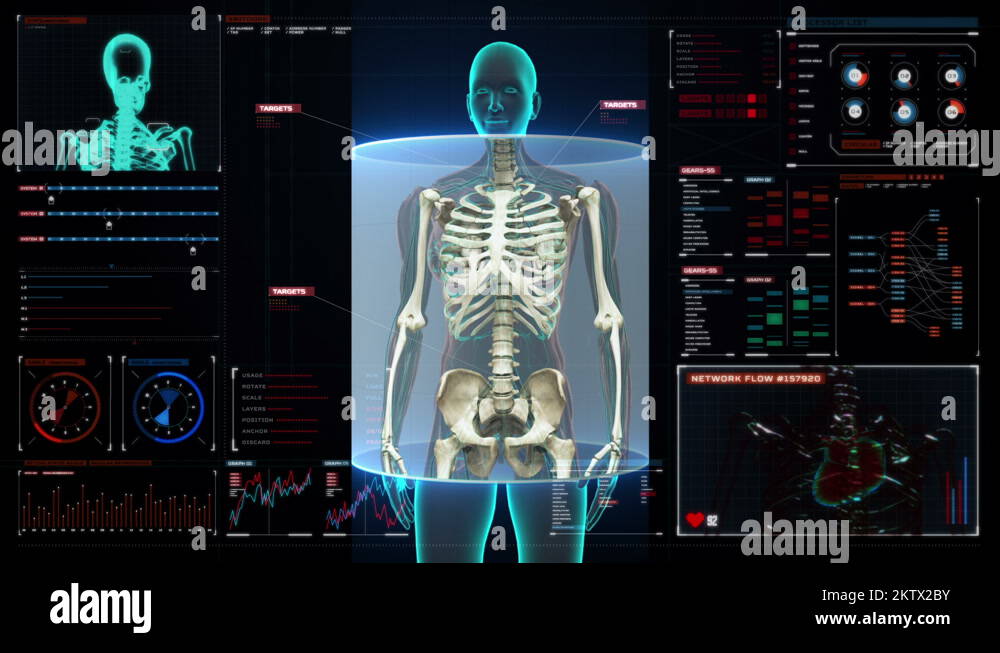 Zooming Female scanning Human skeletal structure in digital dashboard ...