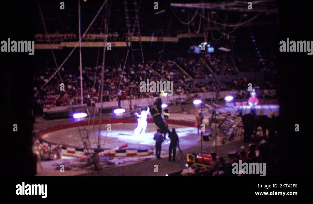 Circus animals stunt Stock Videos & Footage - HD and 4K Video Clips - Alamy