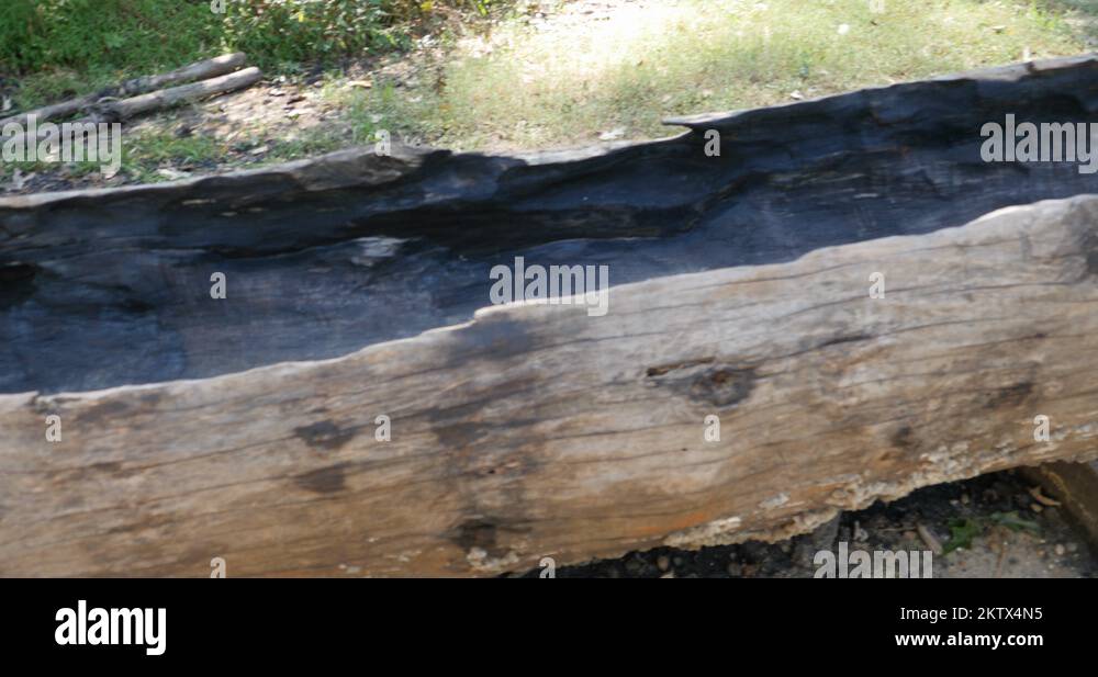 Native american dugout canoe Stock Videos & Footage - HD and 4K Video ...