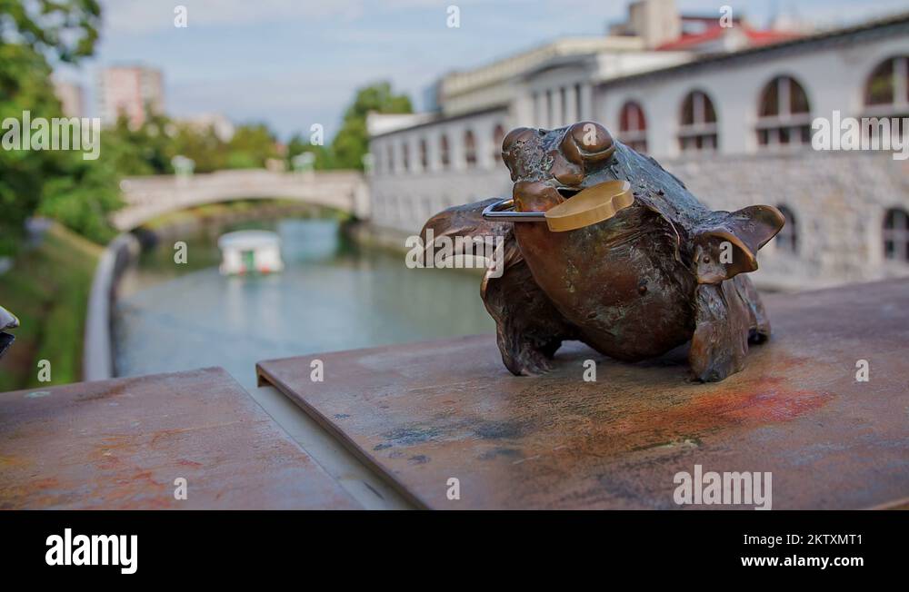 University frog Stock Videos & Footage - HD and 4K Video Clips - Alamy