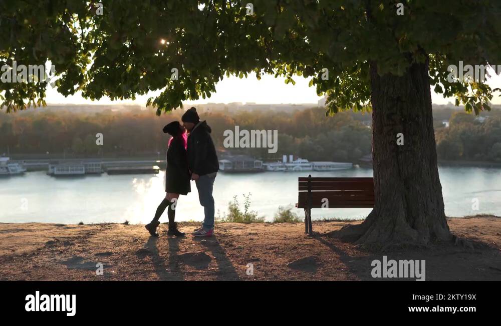 Wedding couple under tree Stock Videos & Footage - HD and 4K Video ...