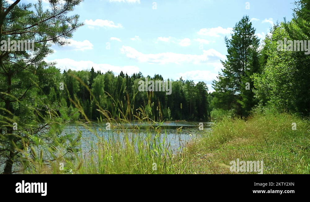 Temperate climate zone Stock Videos & Footage - HD and 4K Video Clips ...