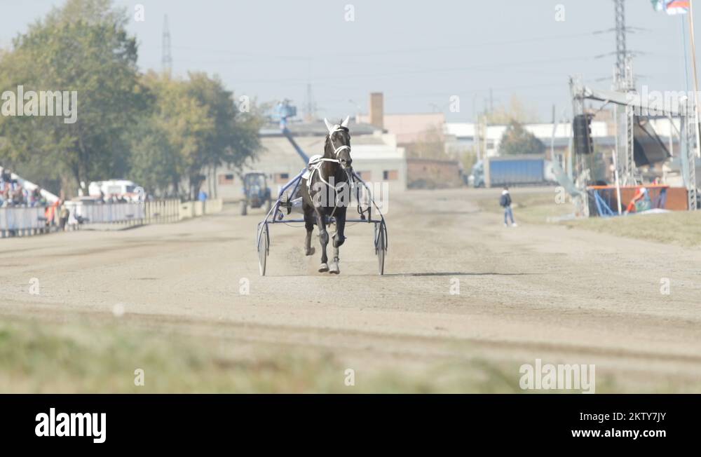 Horseracing jockey Stock Videos & Footage - HD and 4K Video Clips - Alamy