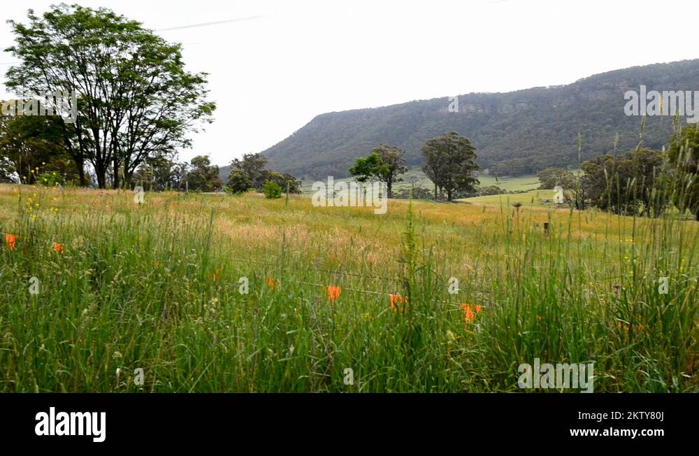 Victoria australia vineyard Stock Videos & Footage - HD and 4K Video ...