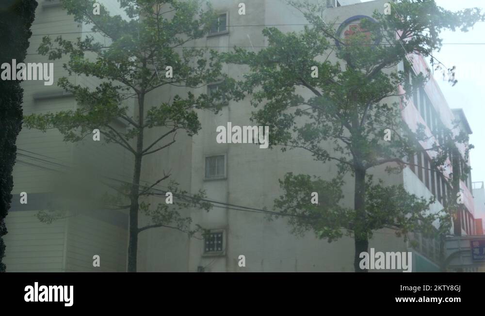 Hurricane wind trees flood Stock Videos & Footage - HD and 4K Video ...