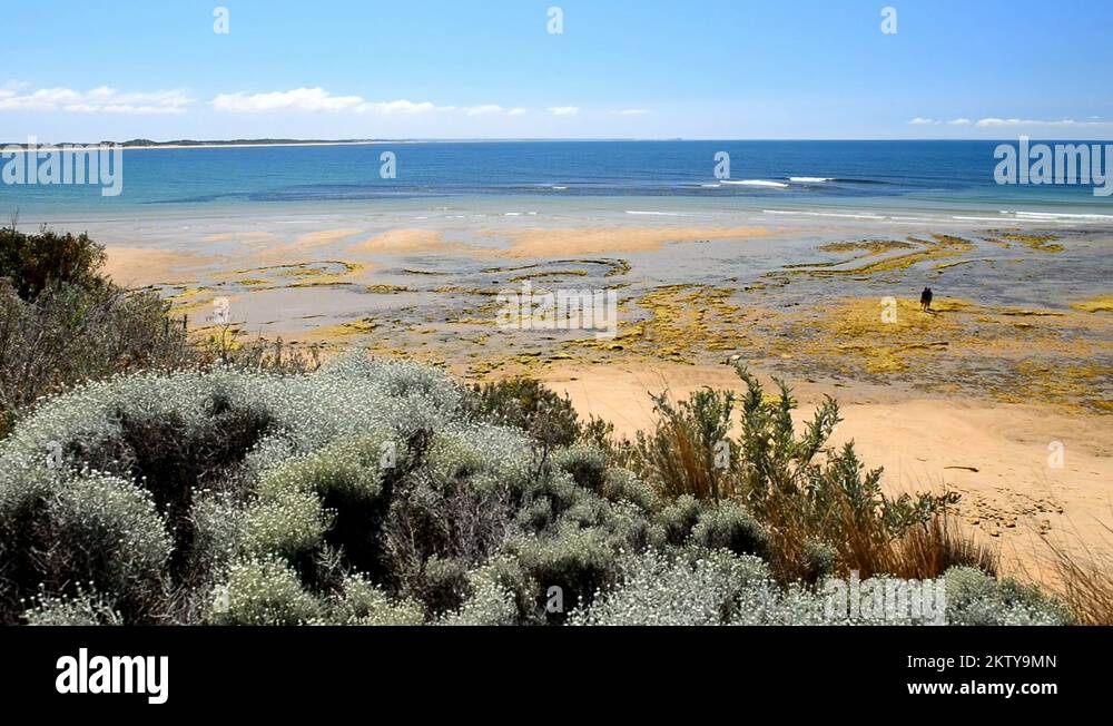 Australian nature Stock Videos & Footage - HD and 4K Video Clips - Alamy