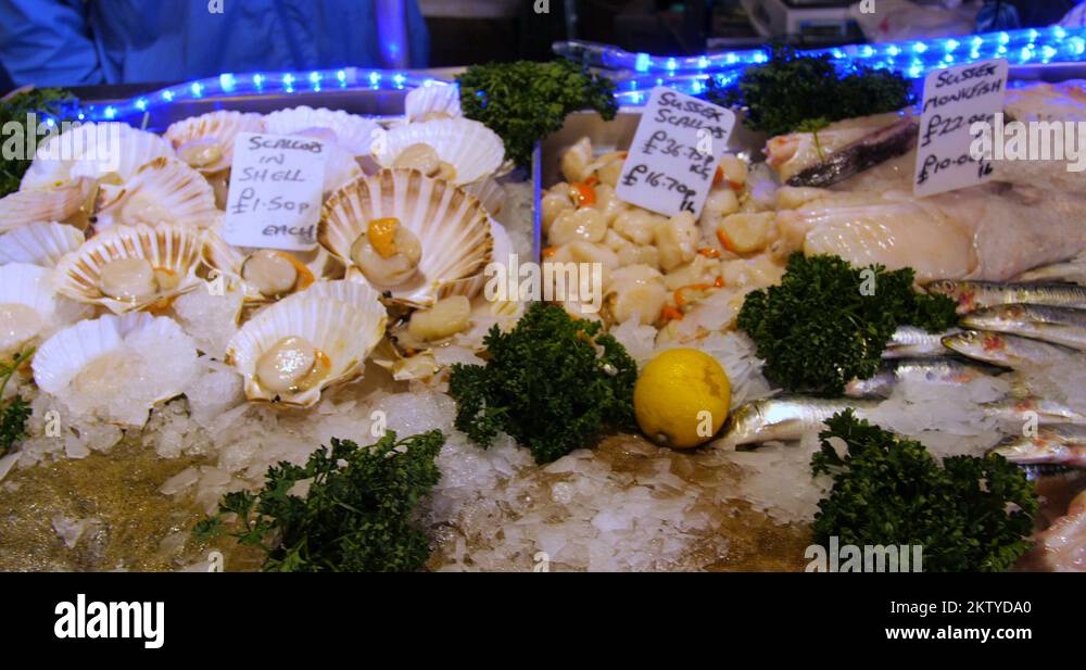 Display of fish Stock Videos & Footage - HD and 4K Video Clips - Alamy
