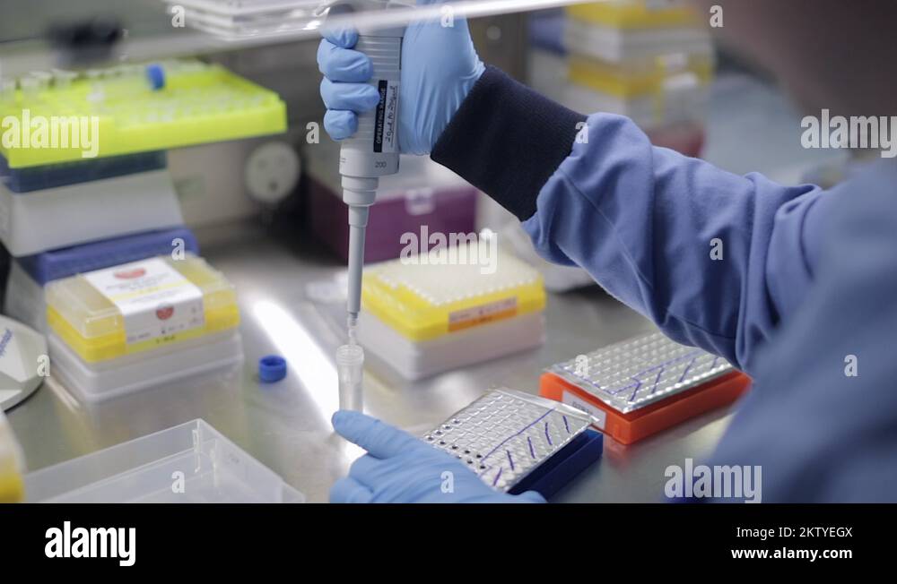 Lab Technician Transferring Solution with an Autoclavable Pipette Stock ...