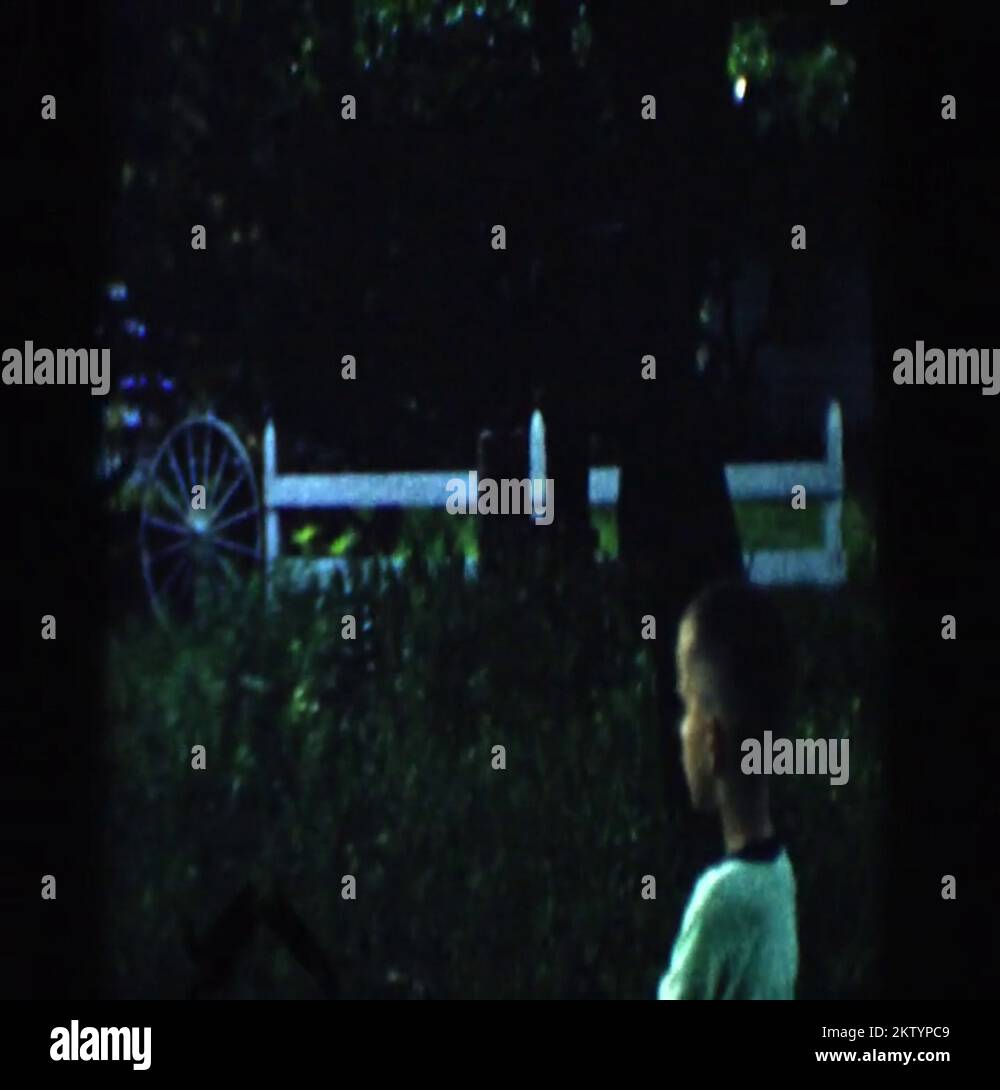 Boy chasing dog Stock Videos & Footage - HD and 4K Video Clips - Alamy