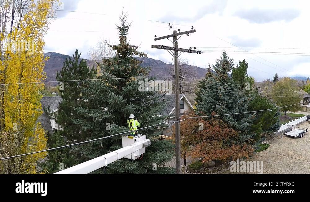 Tree trimming power lines Stock Videos & Footage - HD and 4K Video ...