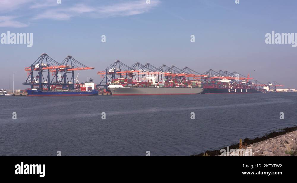 Container handling at the automated Euromax Container Terminal (ECT ...
