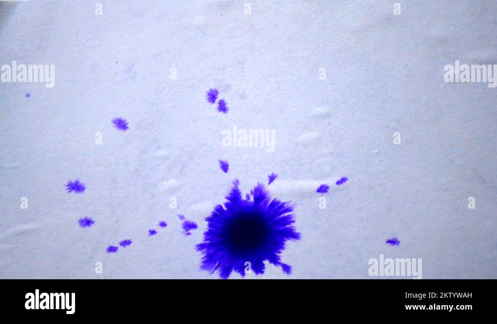 Ink spread absorption Stock Videos & Footage - HD and 4K Video Clips ...