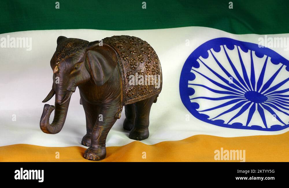 Elephant indian flag Stock Videos & Footage - HD and 4K Video Clips - Alamy
