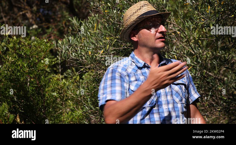 Italian orchard Stock Videos & Footage - HD and 4K Video Clips - Alamy