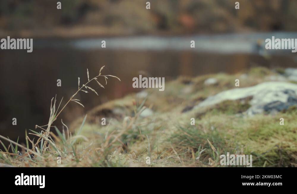 Horizontal rivers Stock Videos & Footage - HD and 4K Video Clips - Alamy