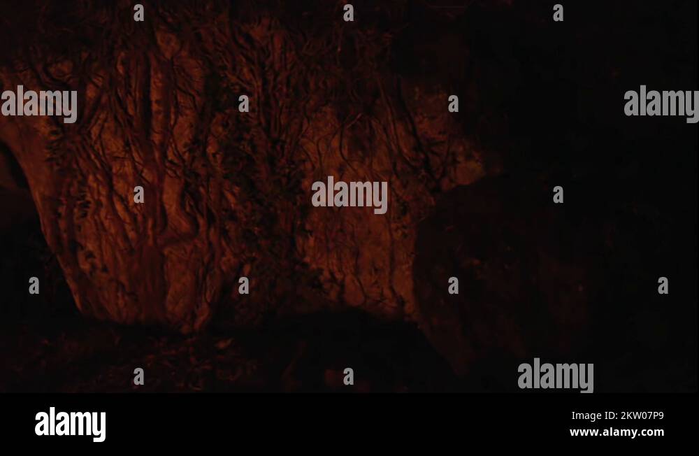 Shadow cave Stock Videos & Footage - HD and 4K Video Clips - Alamy