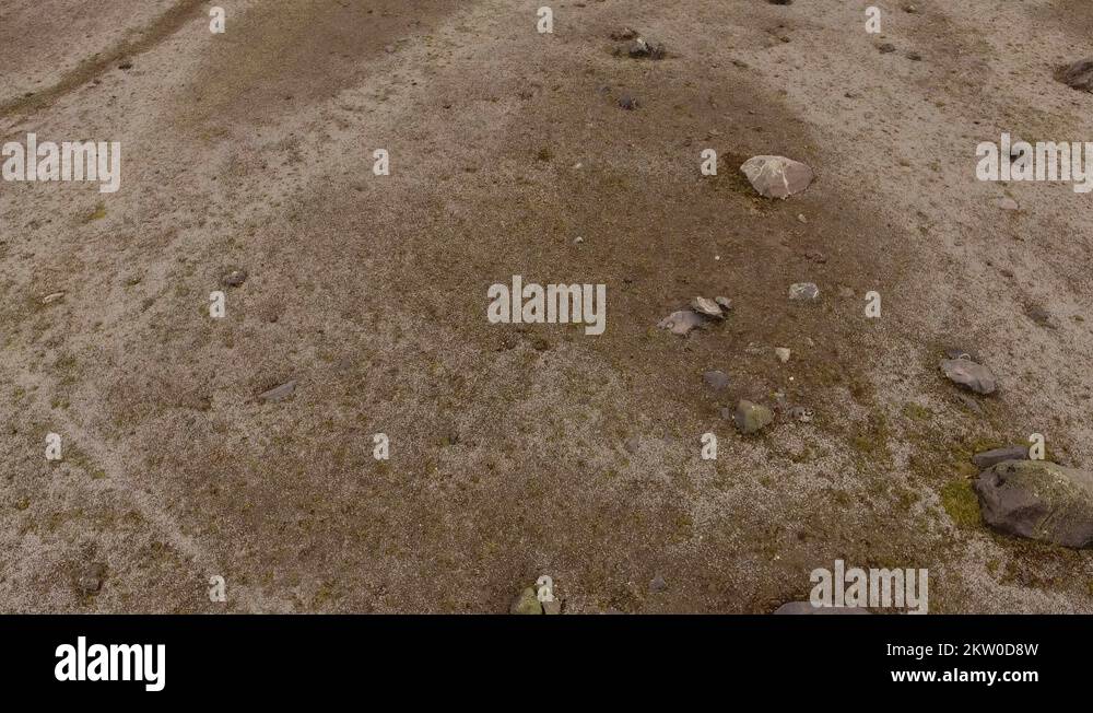 Volcano flora Stock Videos & Footage - HD and 4K Video Clips - Alamy