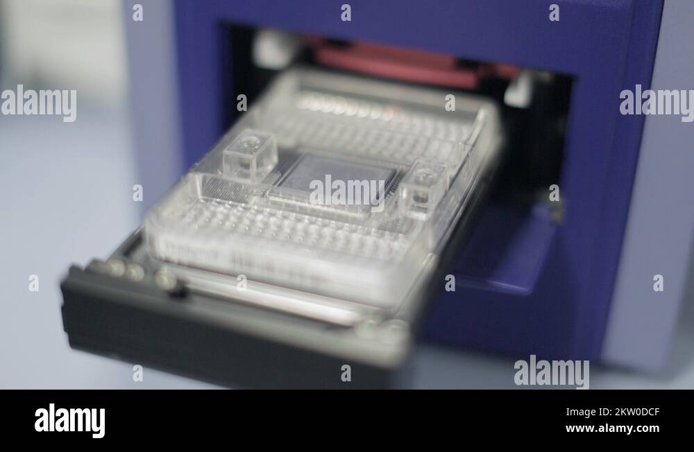 Dna biochip Stock Videos & Footage - HD and 4K Video Clips - Alamy