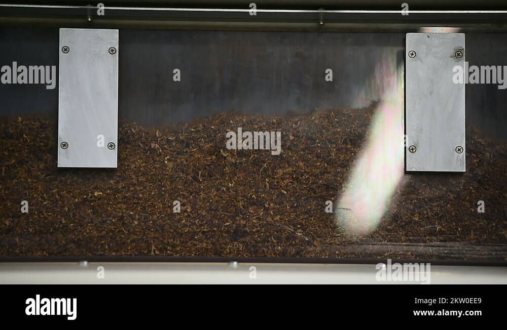 Cigarettes production process inside a modern factory Stock Video ...