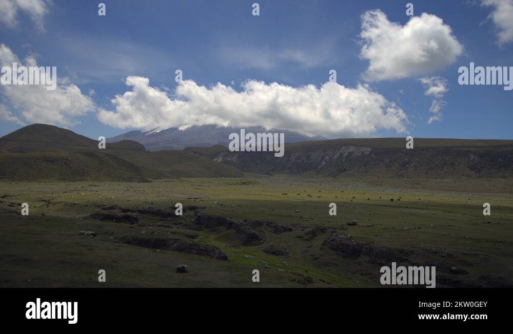 Hummocky Stock Videos & Footage - HD and 4K Video Clips - Alamy