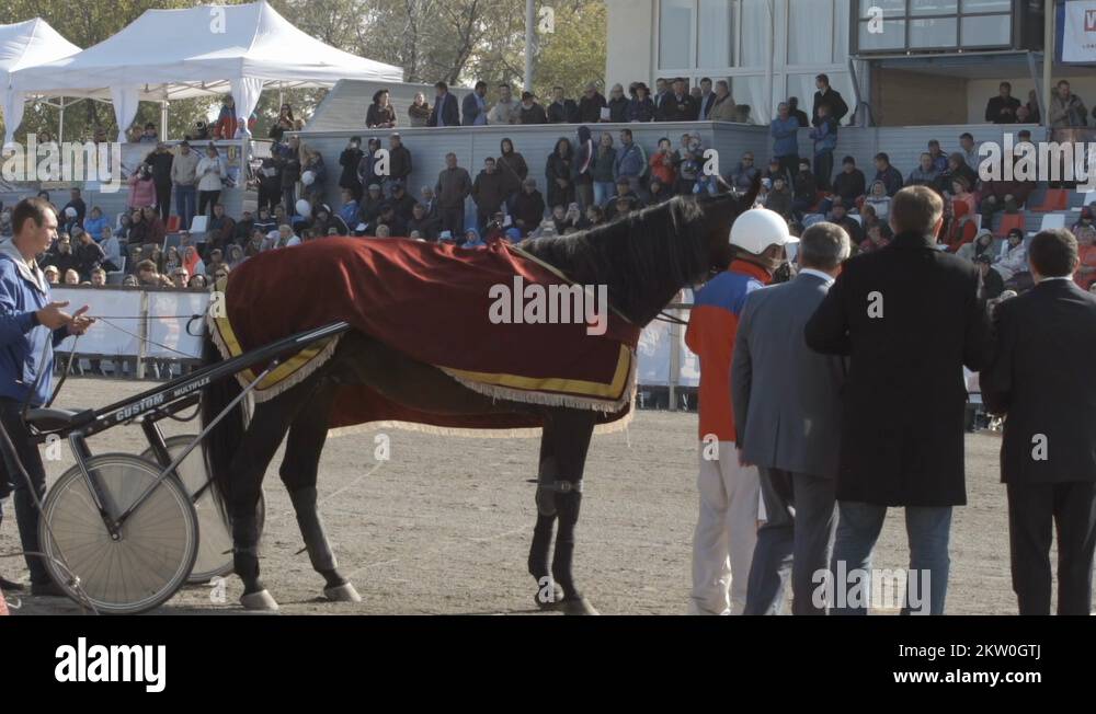 Winner ceremony victory ceremony Stock Videos & Footage - HD and 4K ...