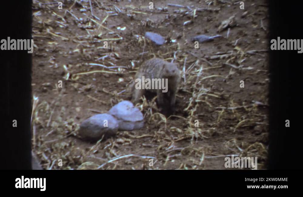 Horizontal bracing Stock Videos & Footage - HD and 4K Video Clips - Alamy