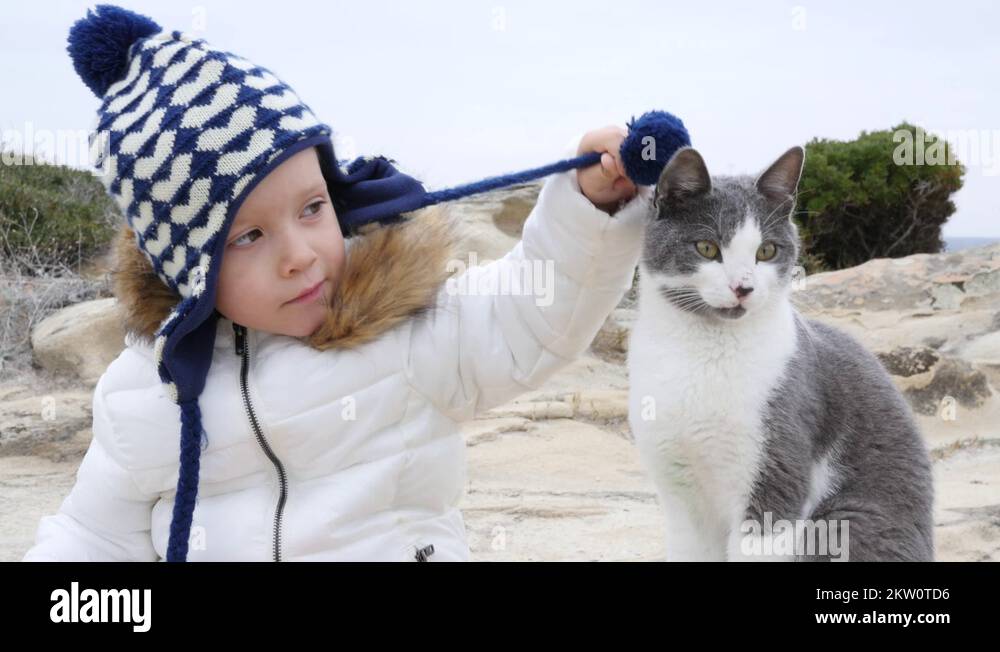 Little kid girl portrait play with a cat carres and fondle outdoors ...