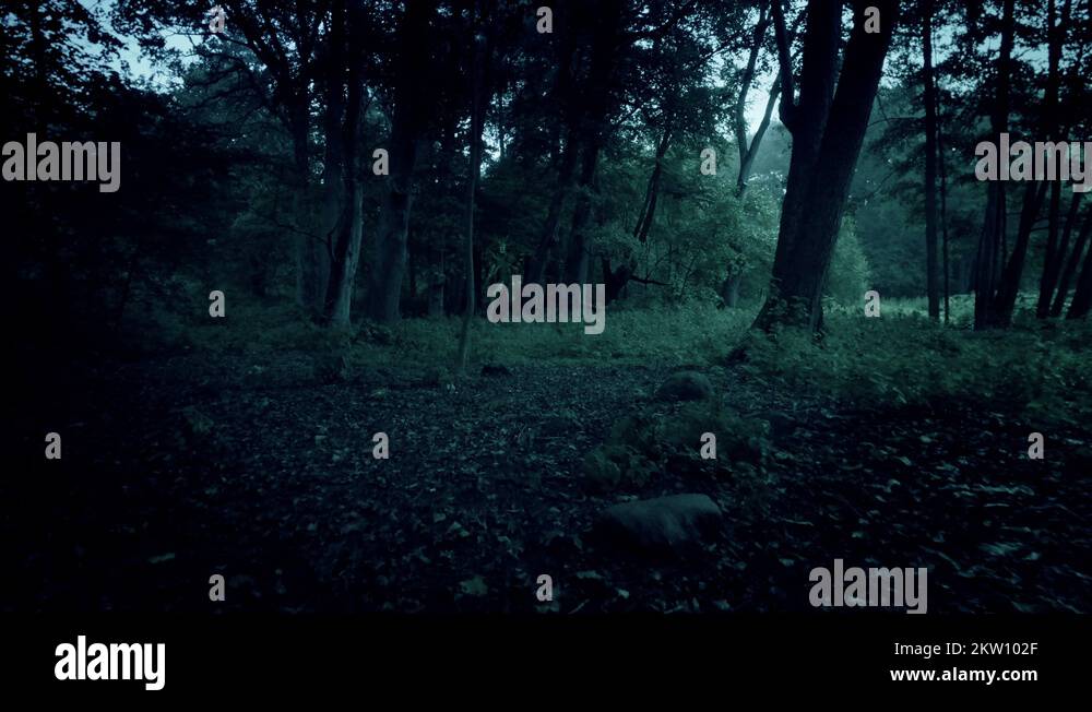 a terrifying monster or alien walking in the forest, staring to the ...