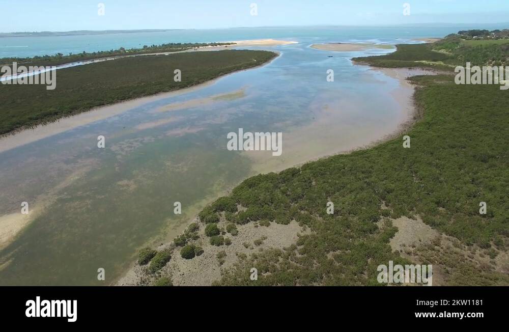 Slow rise above mangroves and shallow waters of Rhyll Inlet Stock Video ...