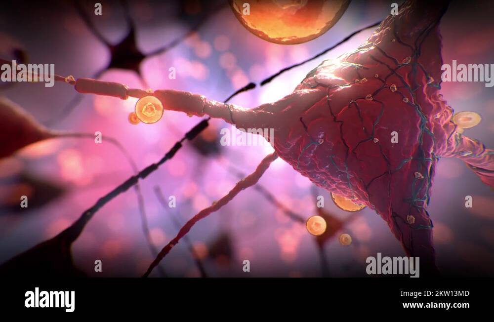 Death of neurons Stock Videos & Footage - HD and 4K Video Clips - Alamy